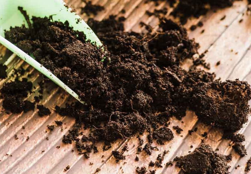 Complete Guide To Fertilizing Trees Owens Bros Tree Service Removal